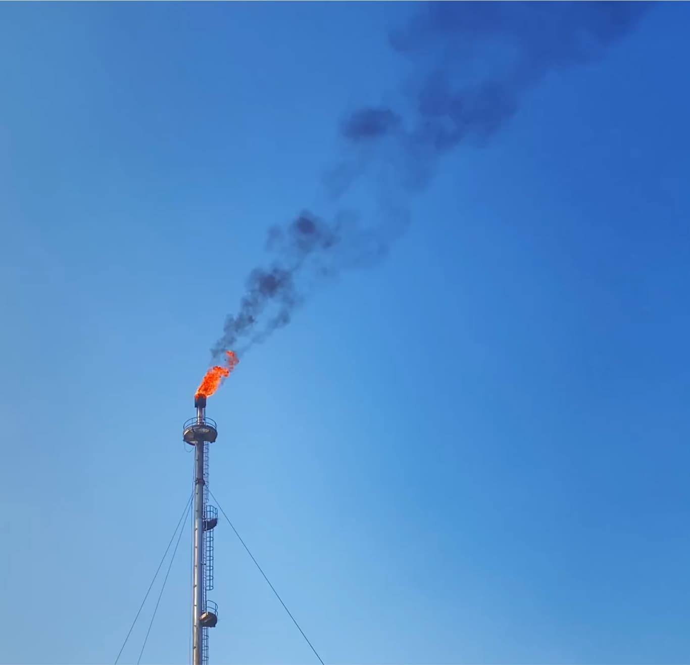 Andium | See Further