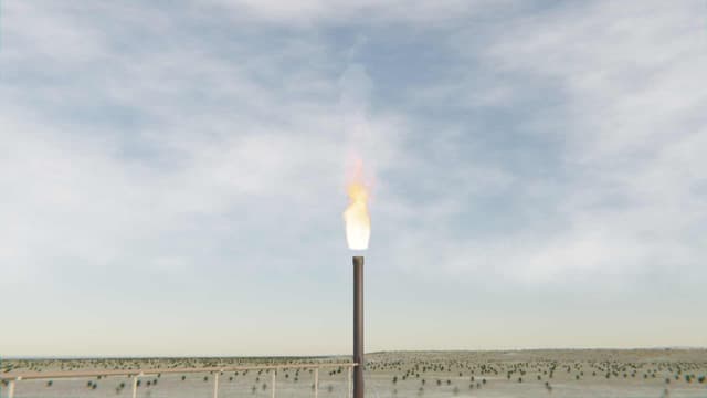 Flare Monitoring | Andium | See Further